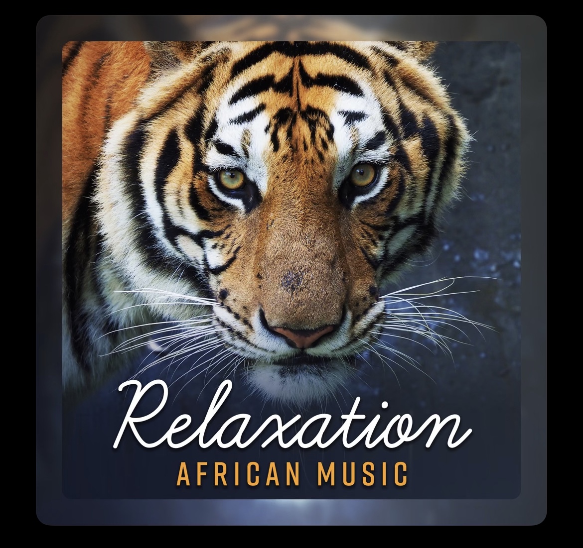 Authentic African Musical Tiger Says – M. N. Ashley